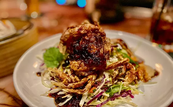 Elephant East | Uptown/Oak Lawn | Pan-Asian, Vietnamese, Thai | Restaurant